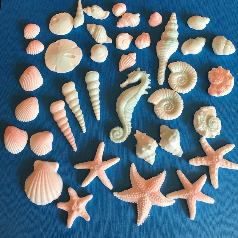 Edible Shells and Coral - Etsy