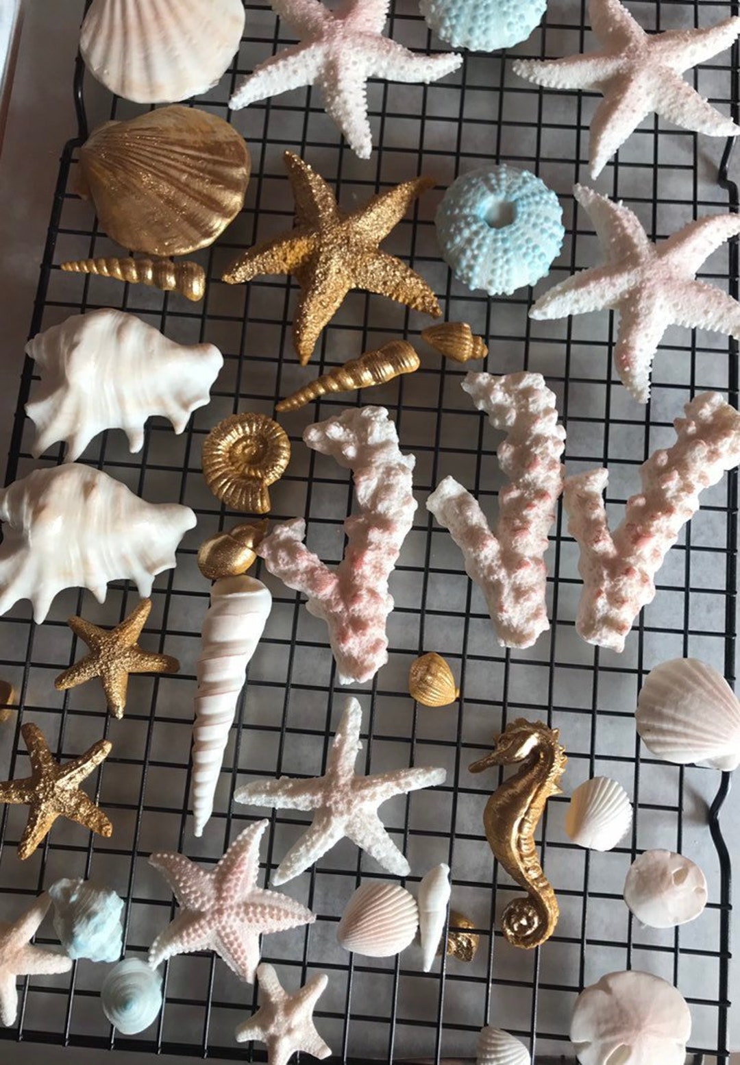 Fondnat LARGE Sea Shells Sea Stars Clams 3", 2" Fondant Cake Decoration ...