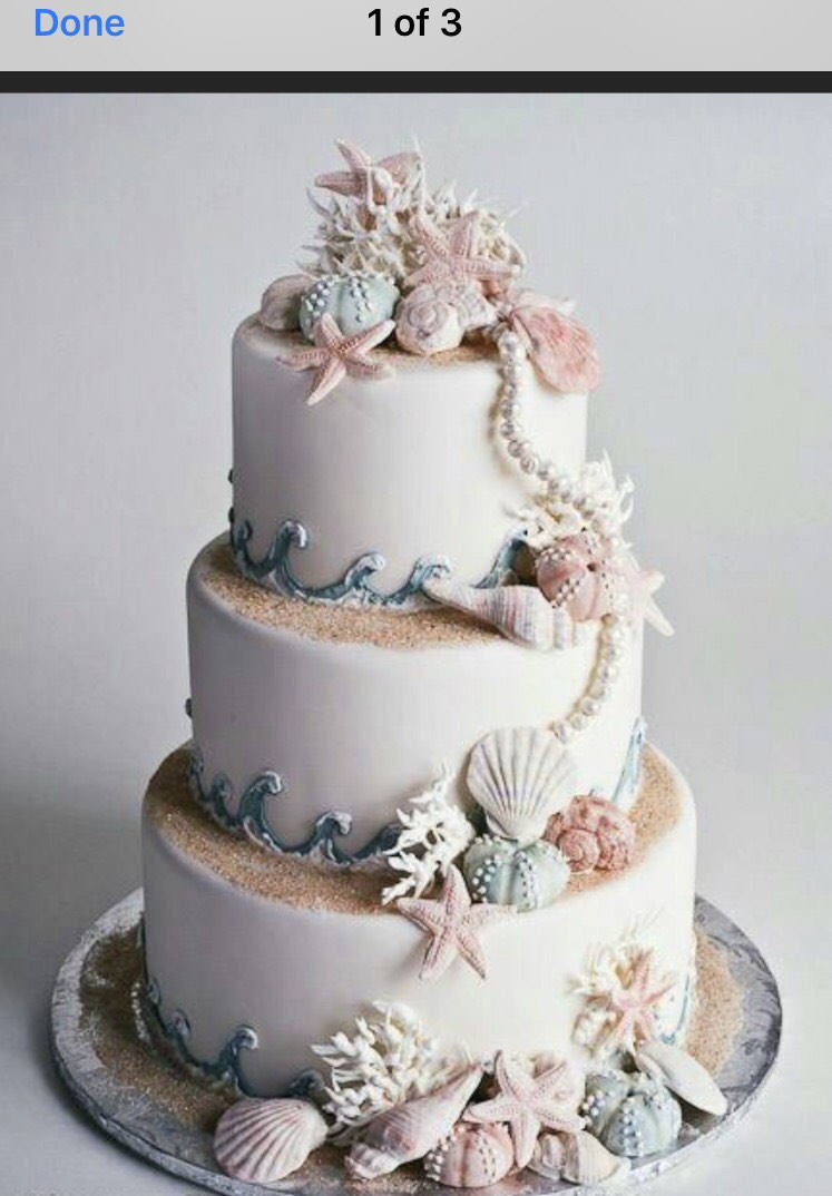X-TRA LARGE Sea Shells Sea Stars 4", 3", 2"fondant Cake Decoration ...