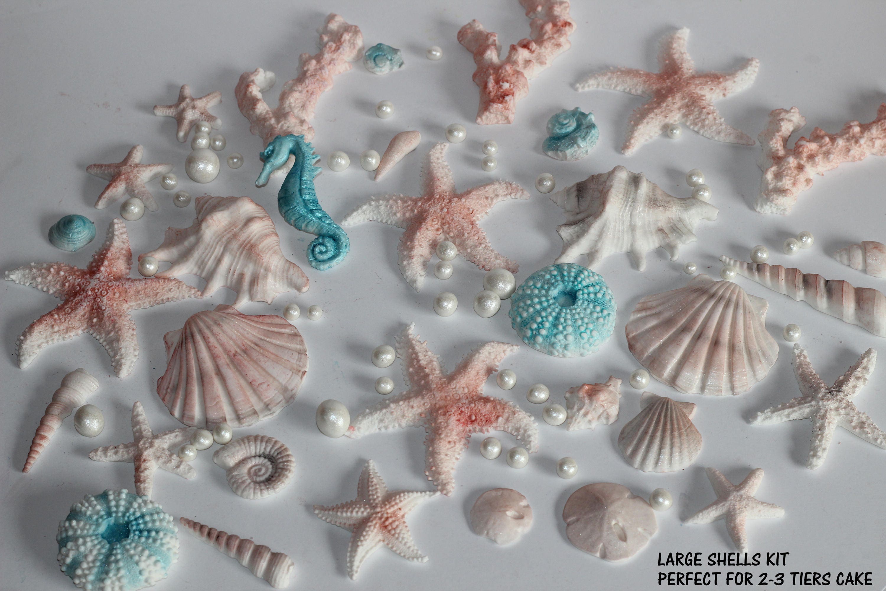 X-TRA LARGE Sea Shells Sea Stars 4 3 - Etsy