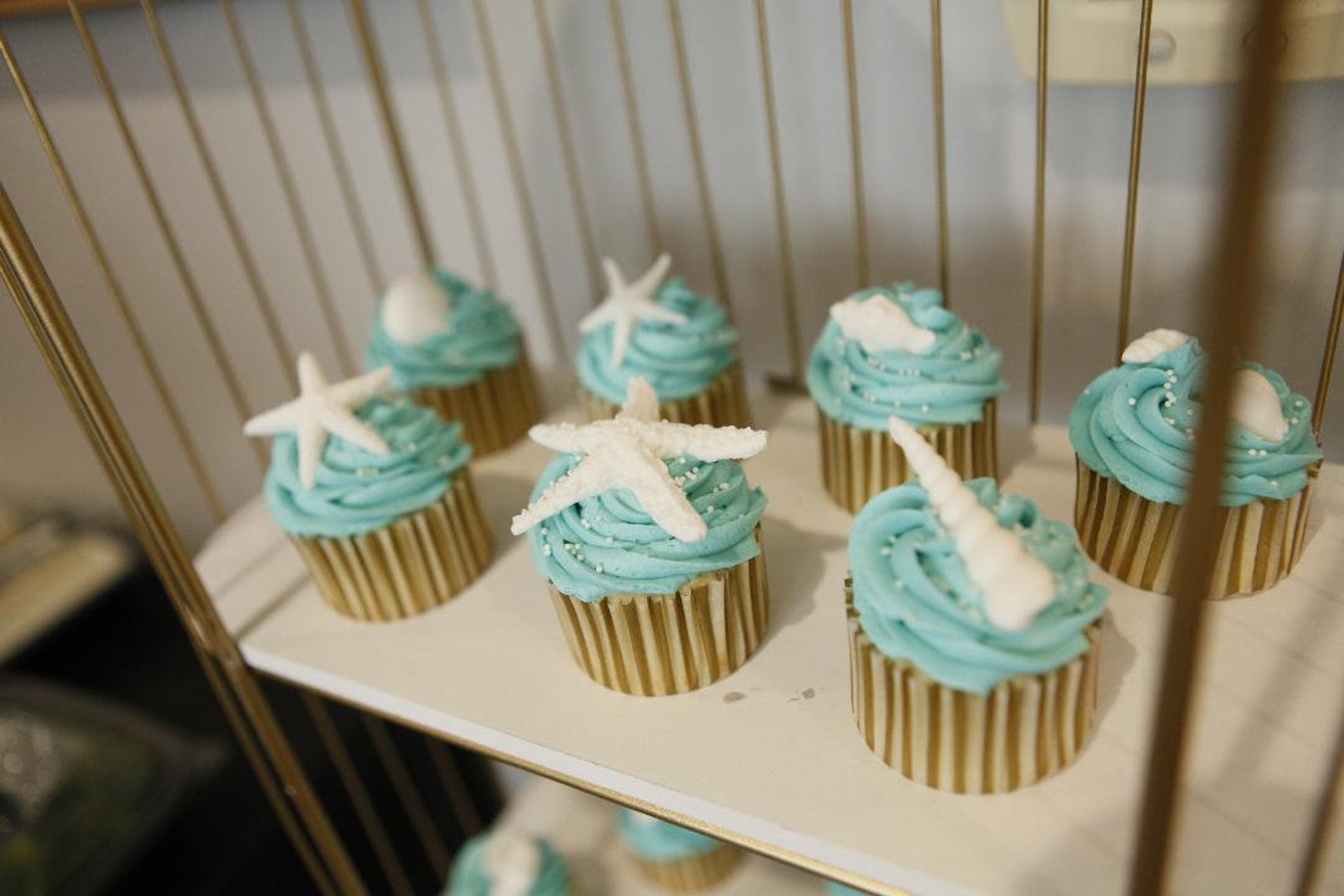 Fondant 30 Sea Shells Edible Sugar Cake Cupcake Topper Ocean - Etsy