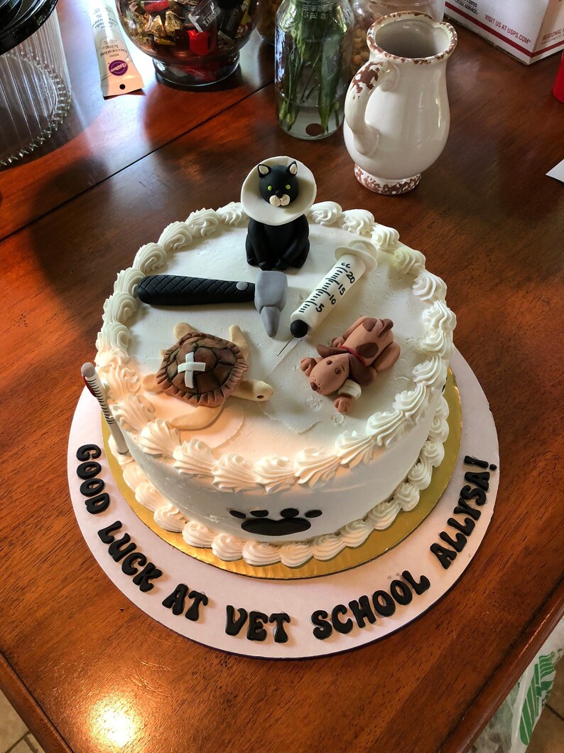 Fondant Vet Doctor Nurse Graduation Cake Toppers Decoration | Etsy