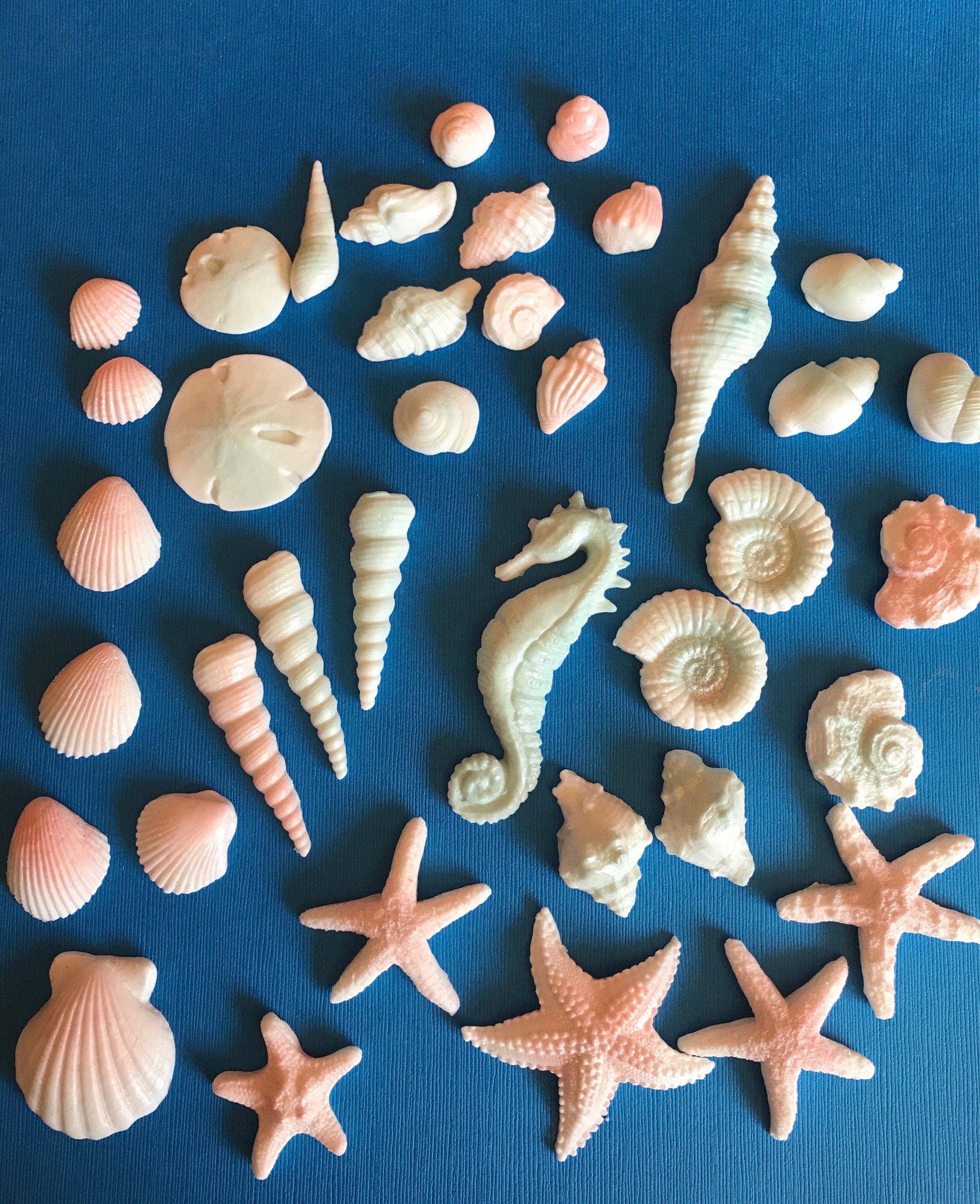 Fondant Sea Shells Sea Stars Cake Decoration Ocean Boho Beach - Etsy ...