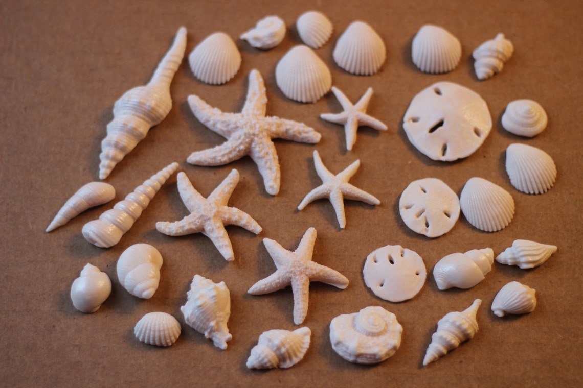 Fondant 30 Sea Shells Edible Sugar Cake Cupcake Topper Ocean Boho Beach ...