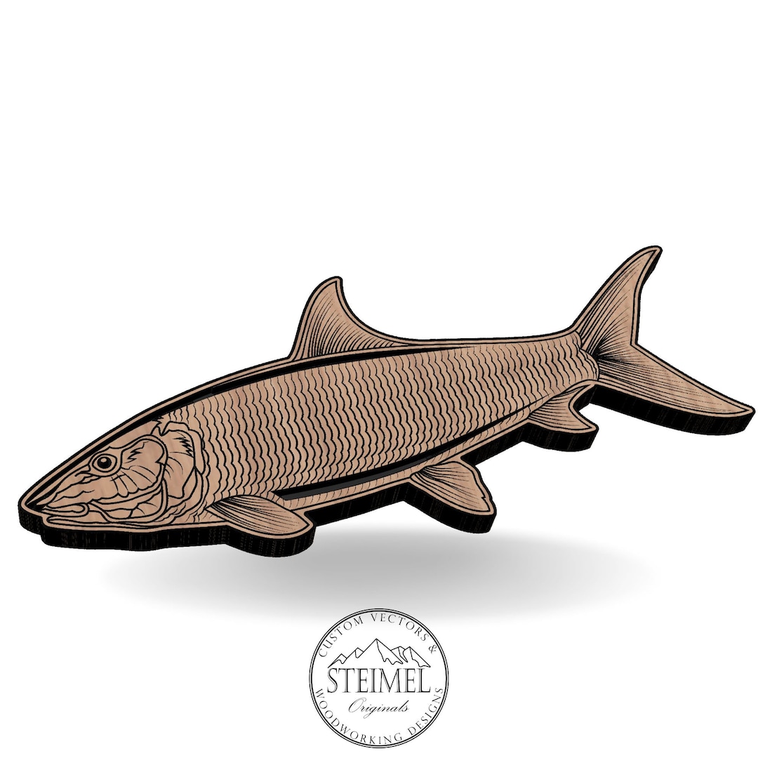 Bonefish, Fish, Fishing, Water, Lake, Nature, Animals, Wilderness, SVG ...