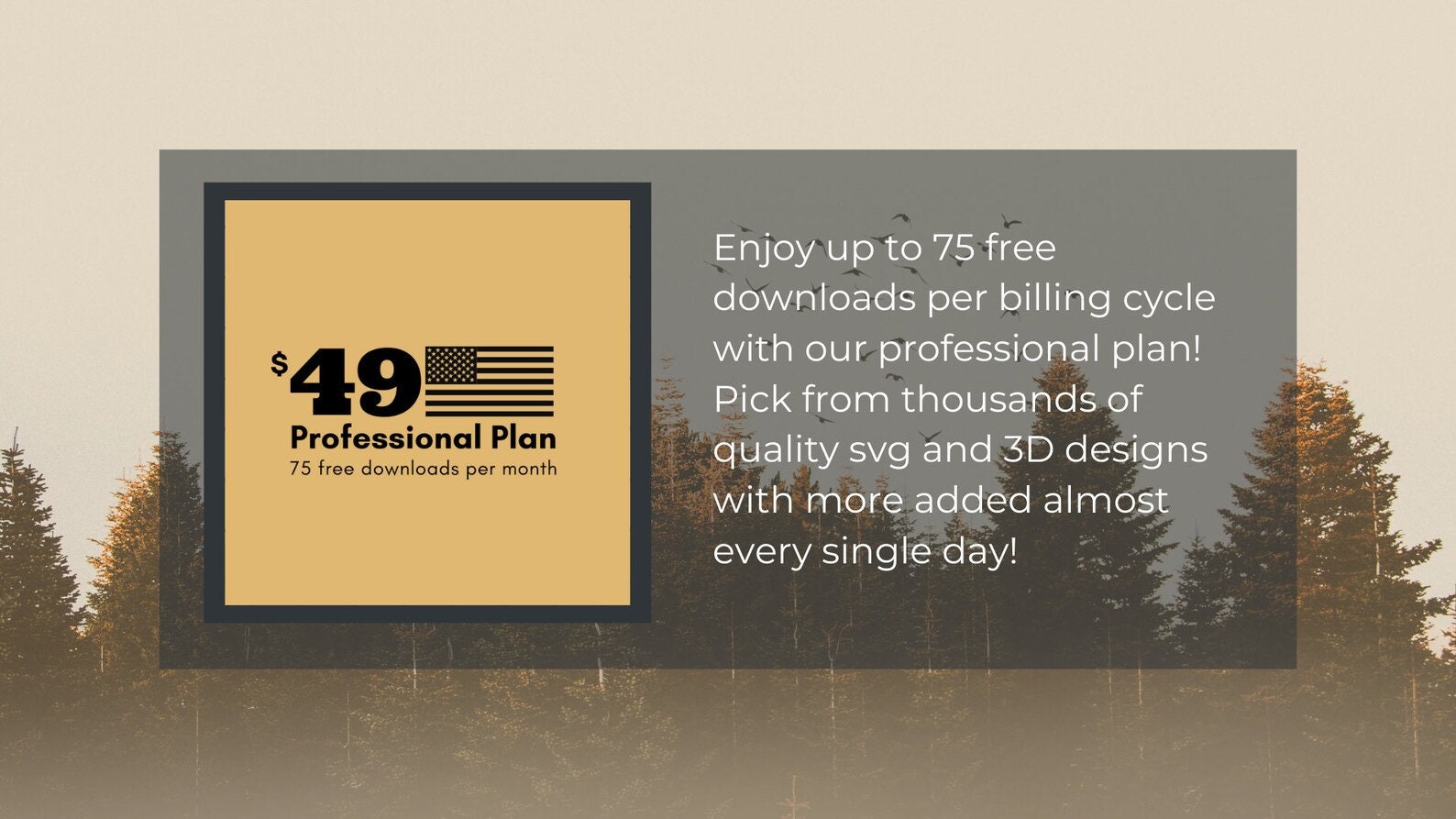 Escudo de armas de la familia Carson SVG Linaje Ancestros - Etsy México