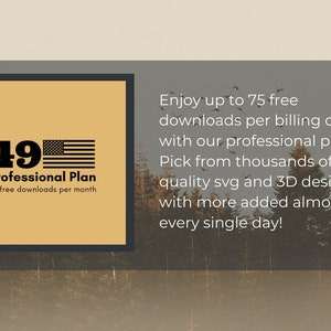 Permit Fish American Flag SVG, USA, Deep Sea Fishing, Ocean, Patriot ...