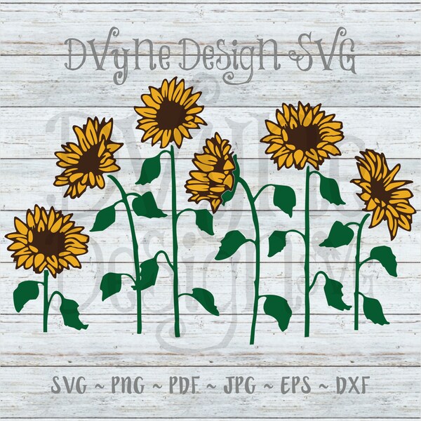 Sunflower Svg - Etsy