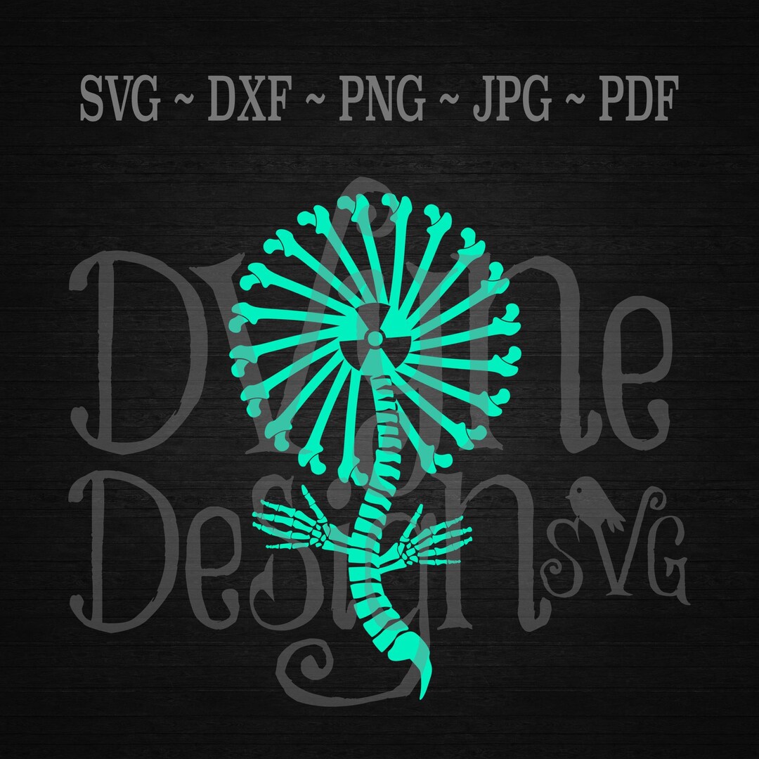 Radiology SVG, Xray Flower SVG, Rad Flower Shirt Cut File, Radiology ...