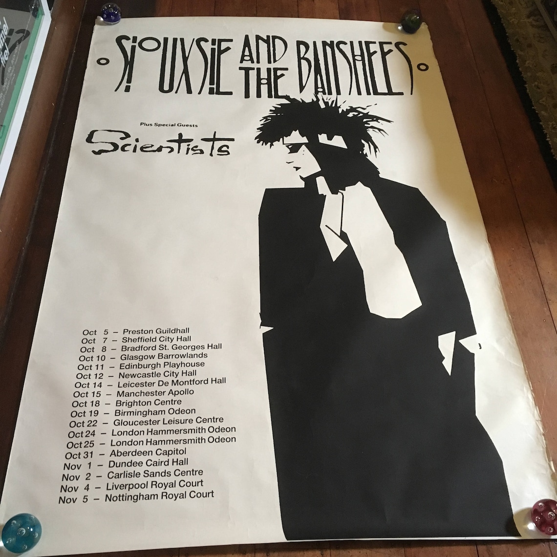 Siouxsie & The Banshees 1985 Silkscreened Tour Poster London | Etsy