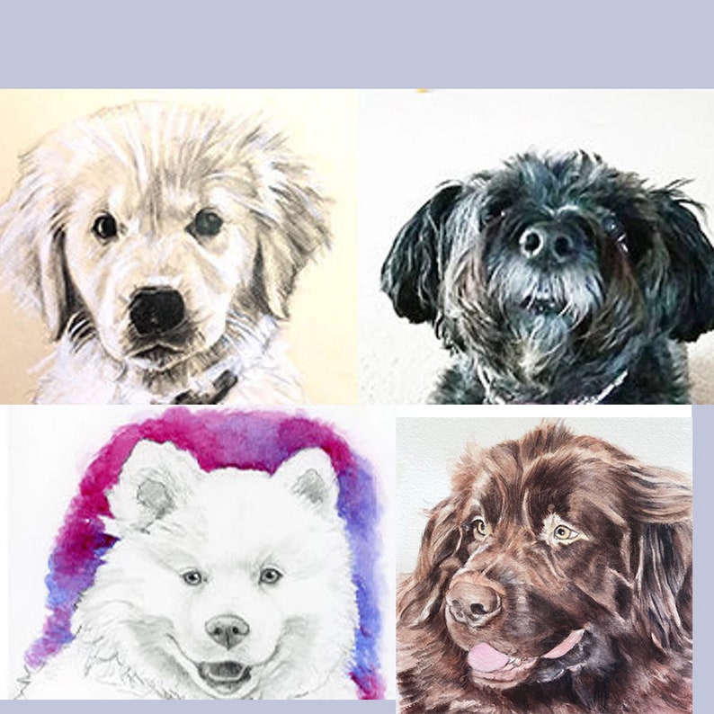 Professional Dog Portraits Watercolor Custom Dog Drawings Hand Sketched ...