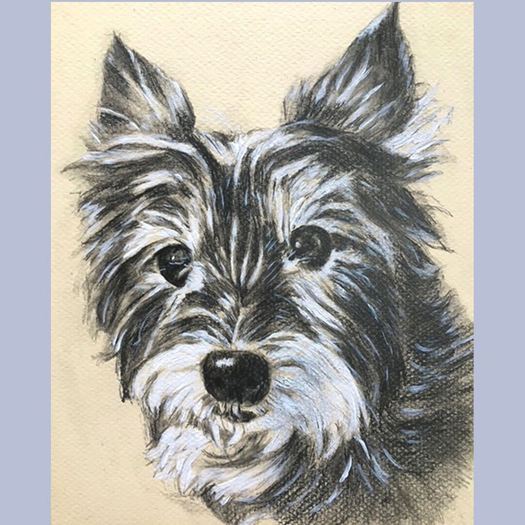 Professional Dog Portraits Watercolor Custom Dog Drawings Hand Sketched ...