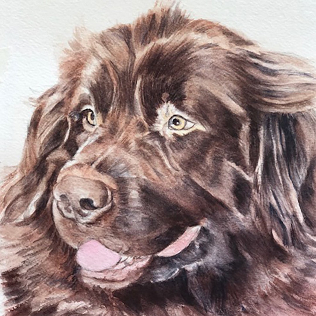 Professional Dog Portraits Watercolor Custom Dog Drawings Hand Sketched ...