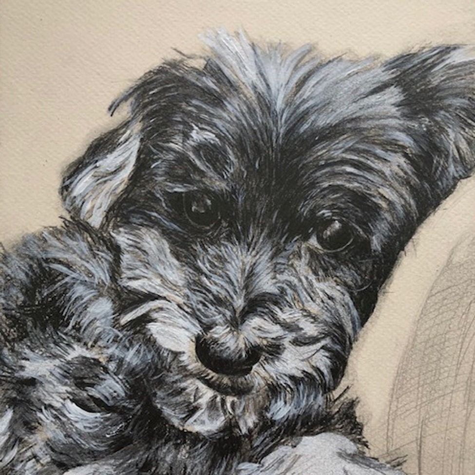 Professional Dog Portraits Watercolor Custom Dog Drawings Hand Sketched ...