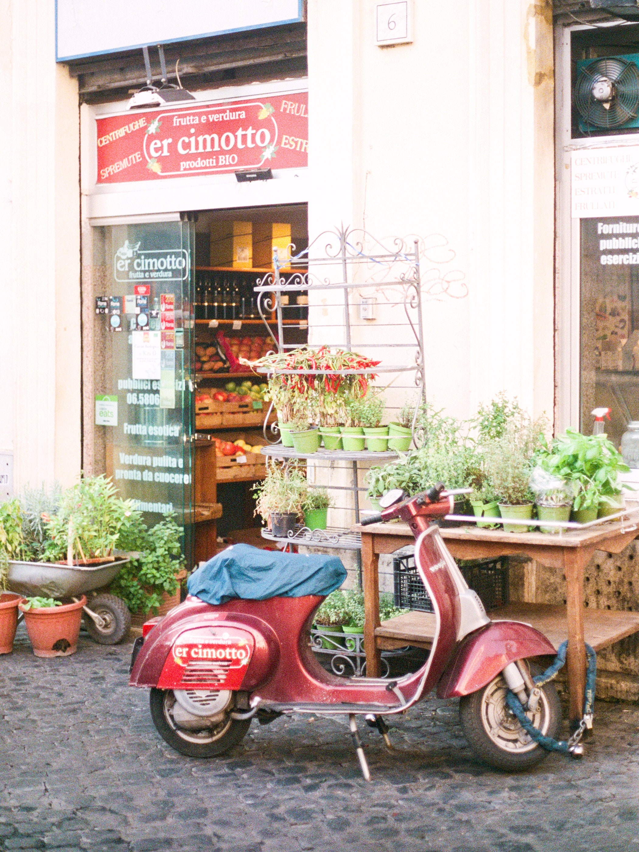 Storefront in Trastevere, Trastevere Rome, Rome Italy, Italy Wall Art ...