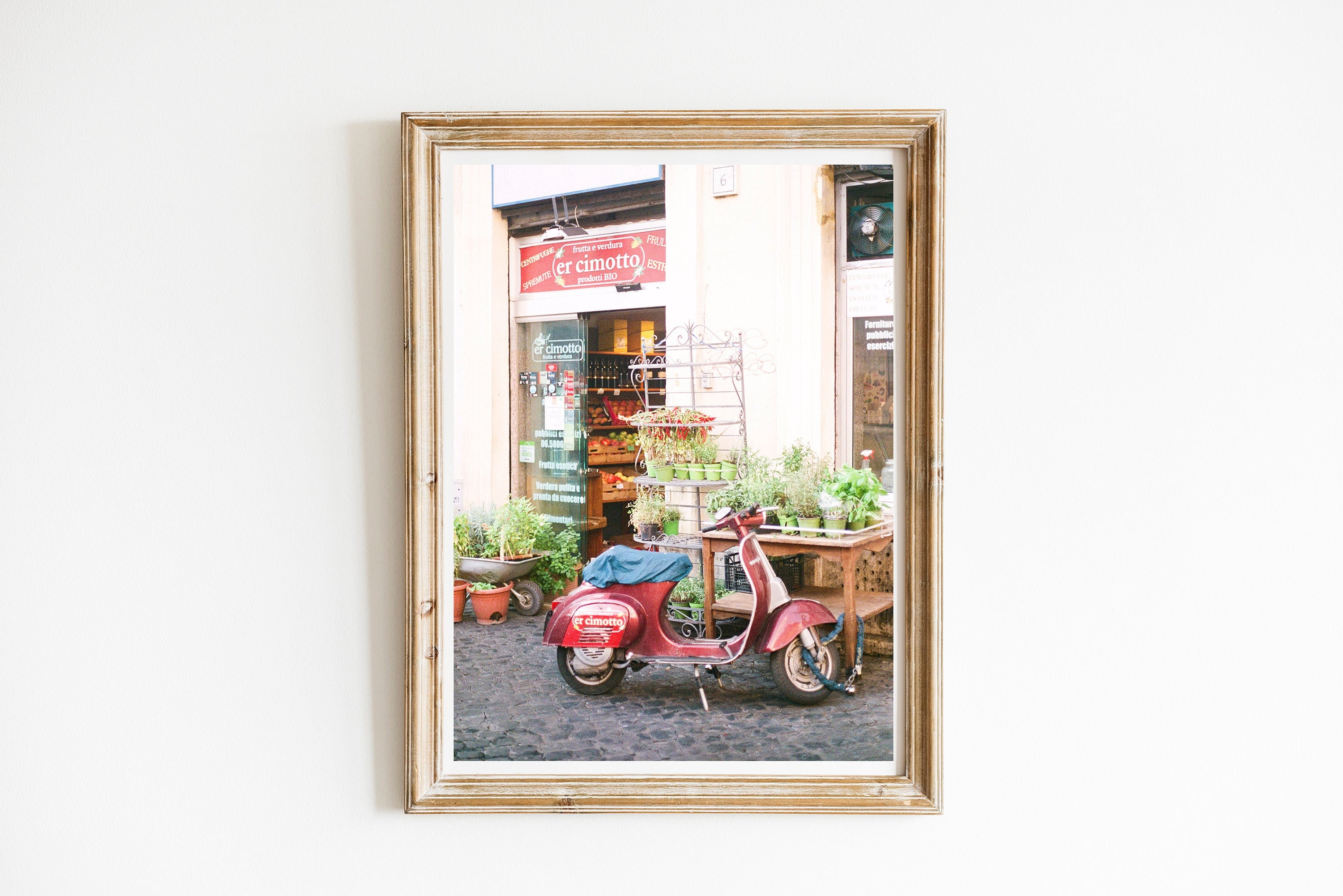 Storefront in Trastevere, Trastevere Rome, Rome Italy, Italy Wall Art ...