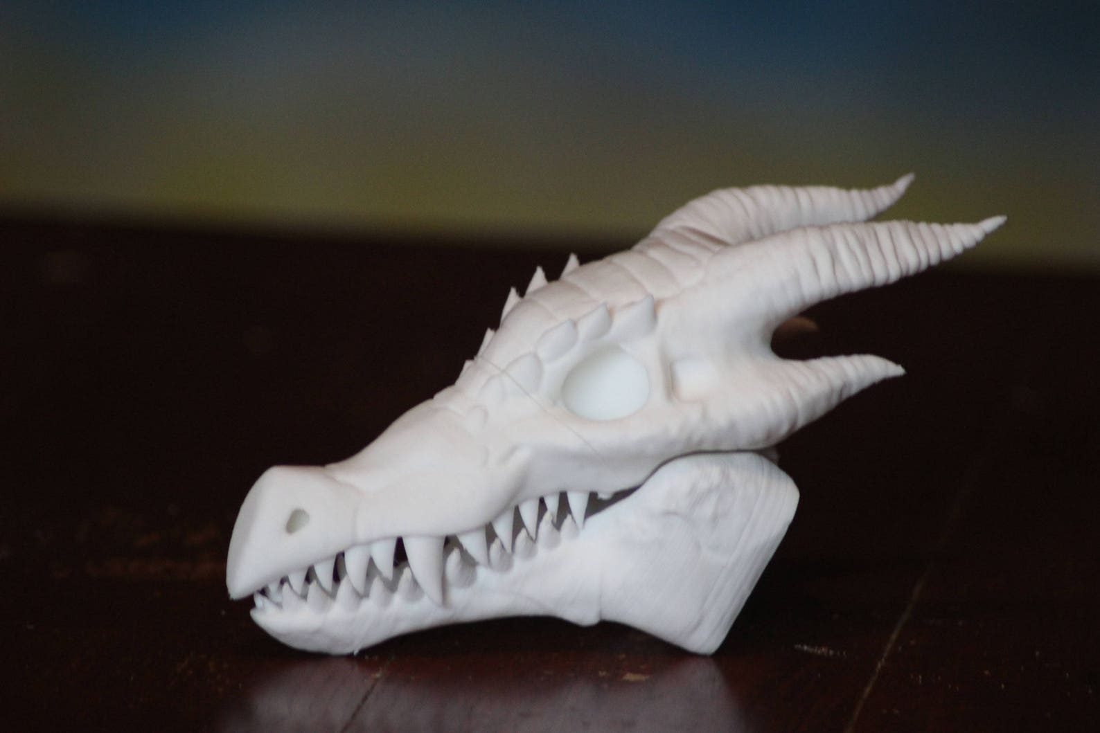 SKULLS: Dragon Skull | Etsy