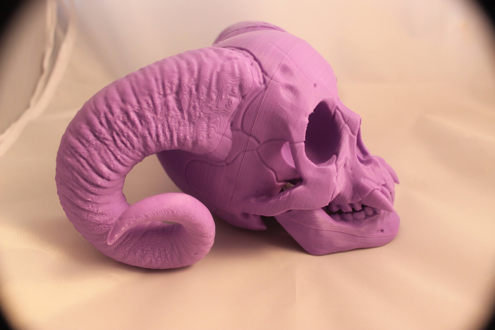 SKULLS: Demon Skull - Etsy