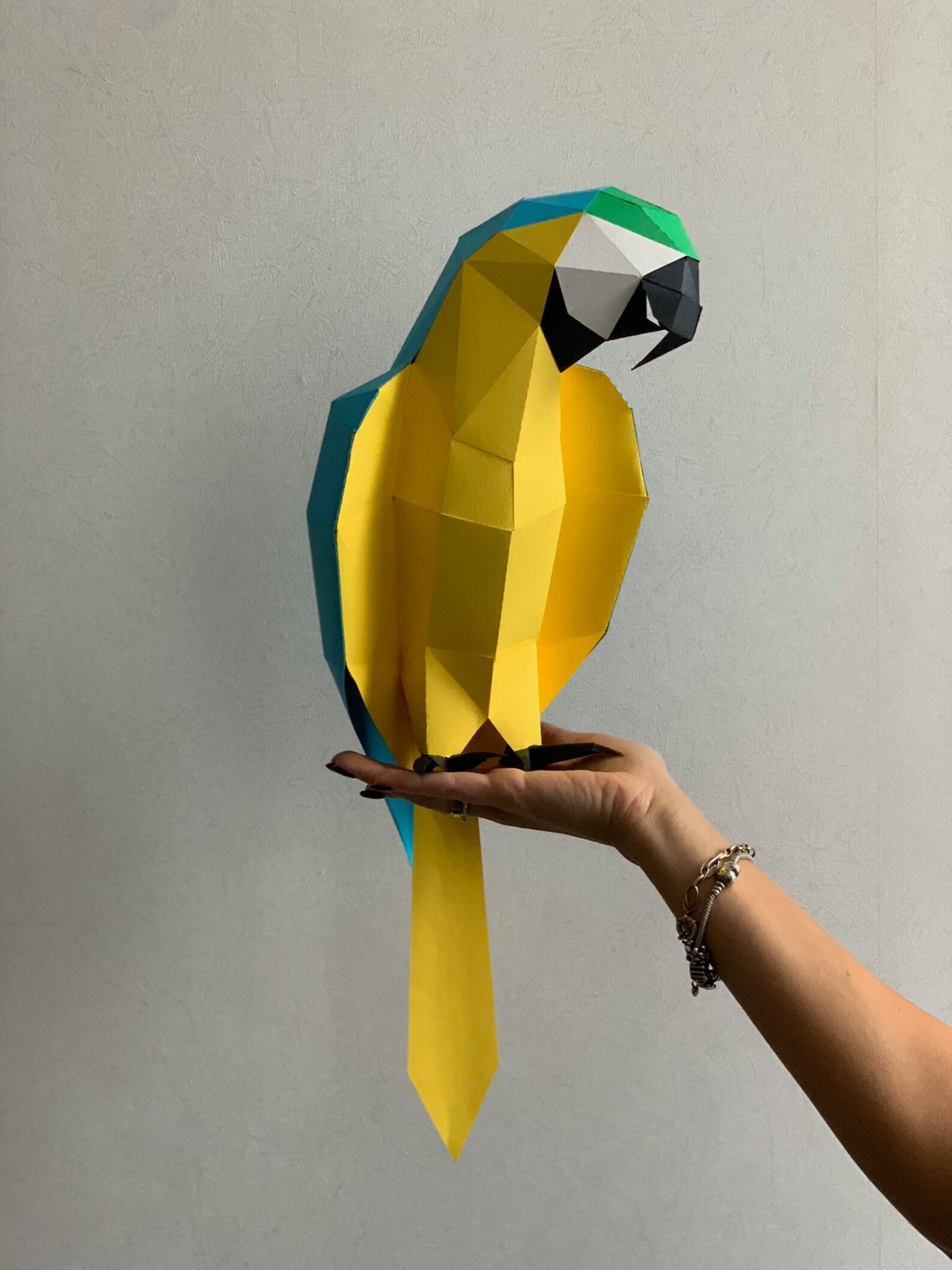 Macaw (blue-and-yellow) - Low Poly, Papercraft Sculpture, Digital ...