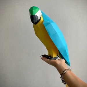 Macaw (blue-and-yellow) - Low Poly, Papercraft Sculpture, Digital ...