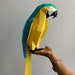 Macaw (blue-and-yellow) - Low Poly, Papercraft Sculpture, Digital ...