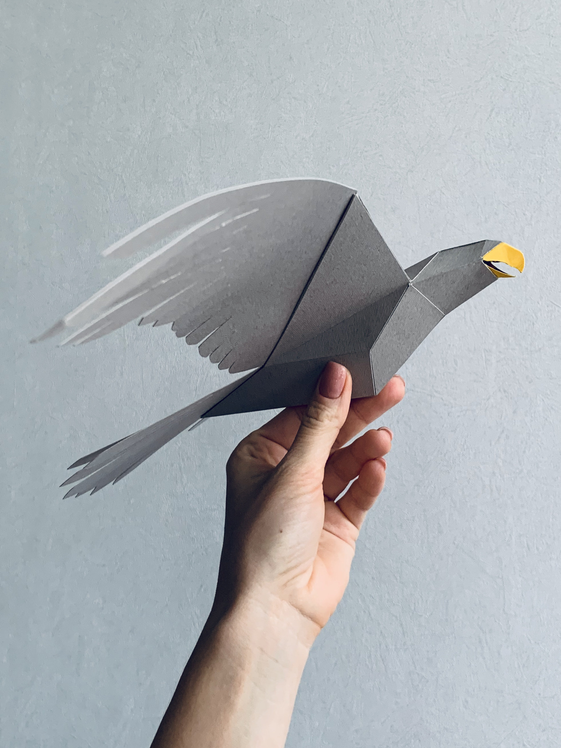 DIY Low Poly Hawk Paper Sculpture – Geometric Bird Model (PDF) - Etsy