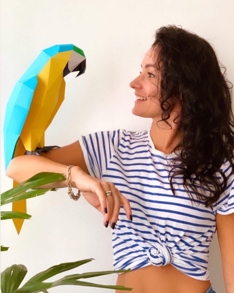 Macaw (blue-and-yellow) - Low Poly, Papercraft Sculpture, Digital ...