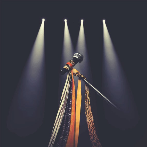 Steven Tyler Singing 1970s