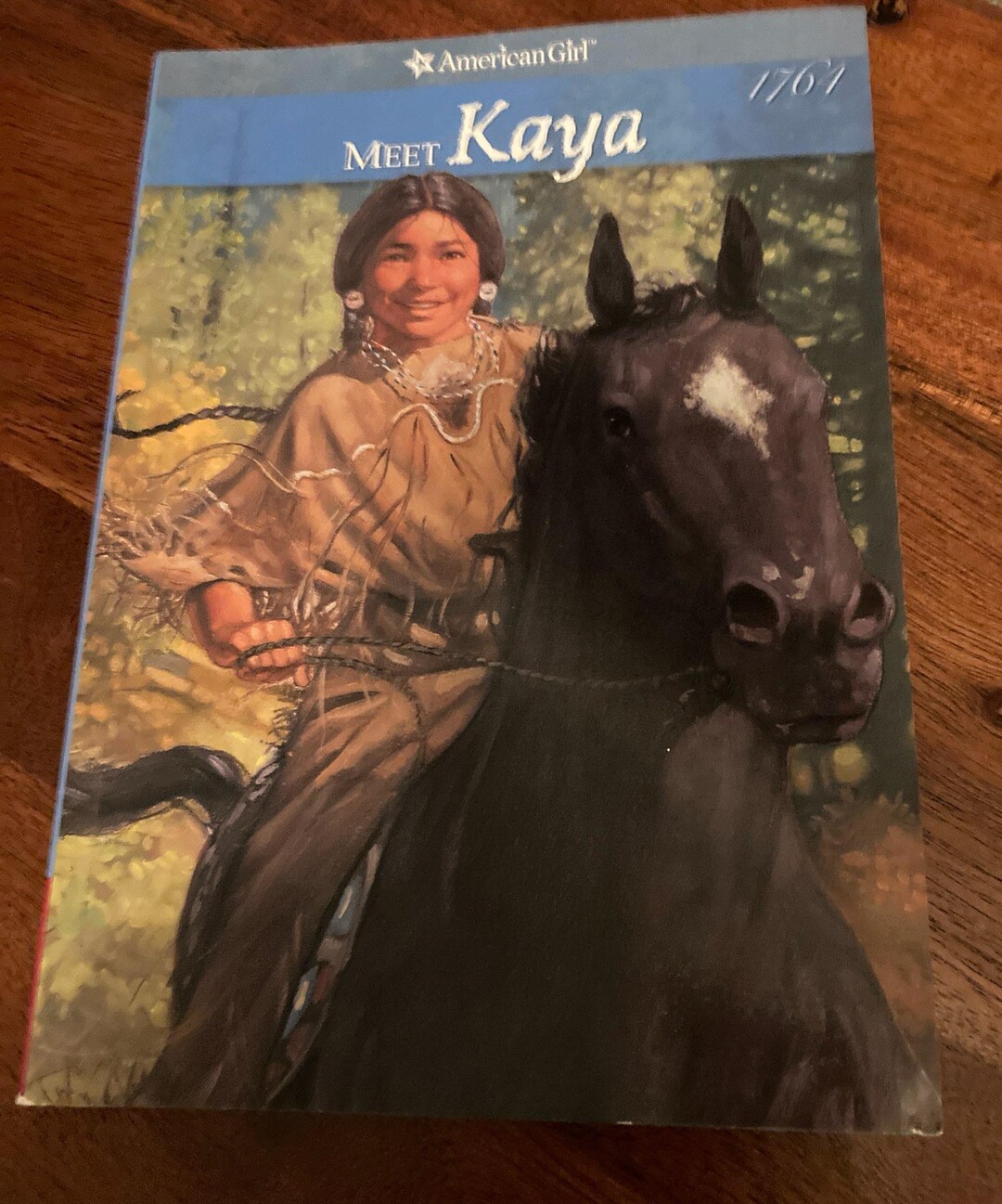 American Girl Meet Kaya Book - Etsy