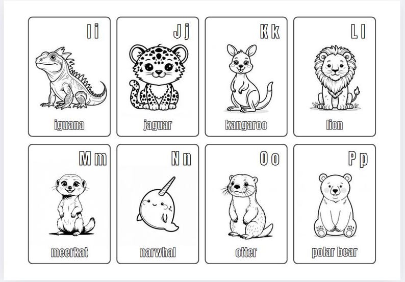 A-Z Animal Flashcard Set - Etsy
