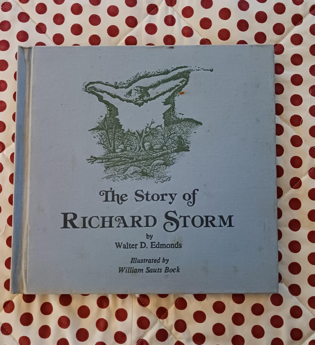The Story of Richard Storm by Walter D. Edmonds Illustrated by William ...