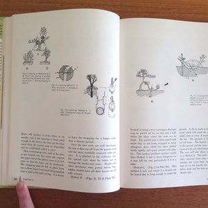 The Japanese Art of Miniature Trees and Landscapes, 1966, 13th Print ...