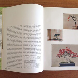 The Japanese Art of Miniature Trees and Landscapes, 1966, 13th Print ...