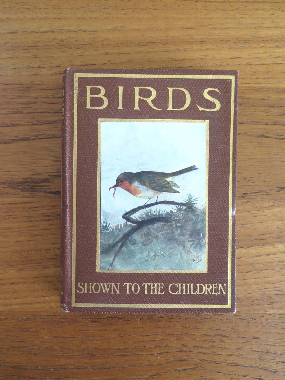 Birds: Shown to the Children, M. K. C. Scott, J. A. Henderson, Early ...