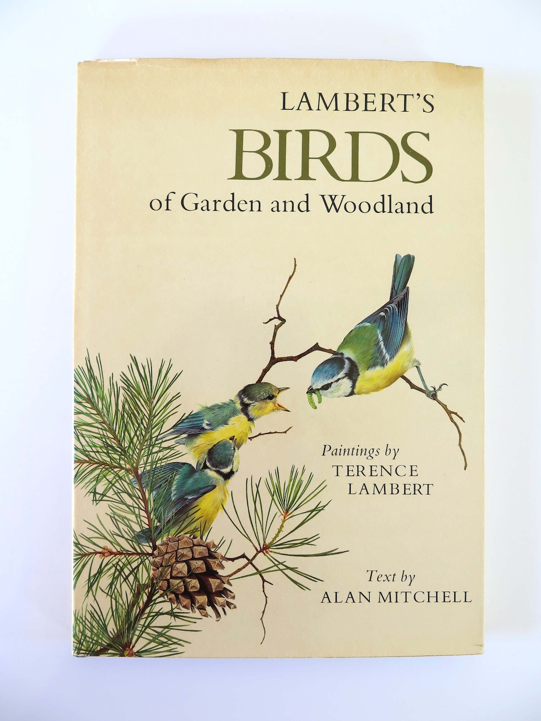 Lambert's Birds of Garden and Woodland, Terence Lambert, Alan Mitchell ...