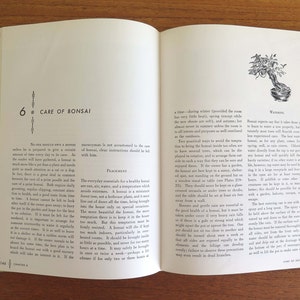 The Japanese Art of Miniature Trees and Landscapes, 1966, 13th Print ...