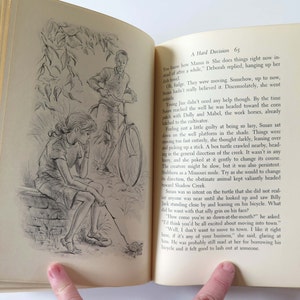 Signed Black-eyed Susan, Evelyn Trent Bachmann, Lilian Obligado, 1968 ...