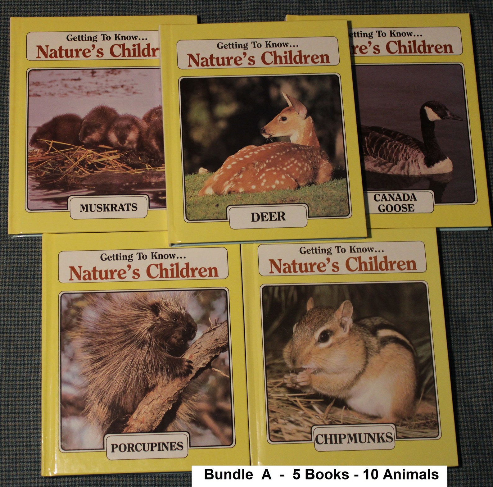 Getting to Know... Nature's Children Hardcover Animal - Etsy