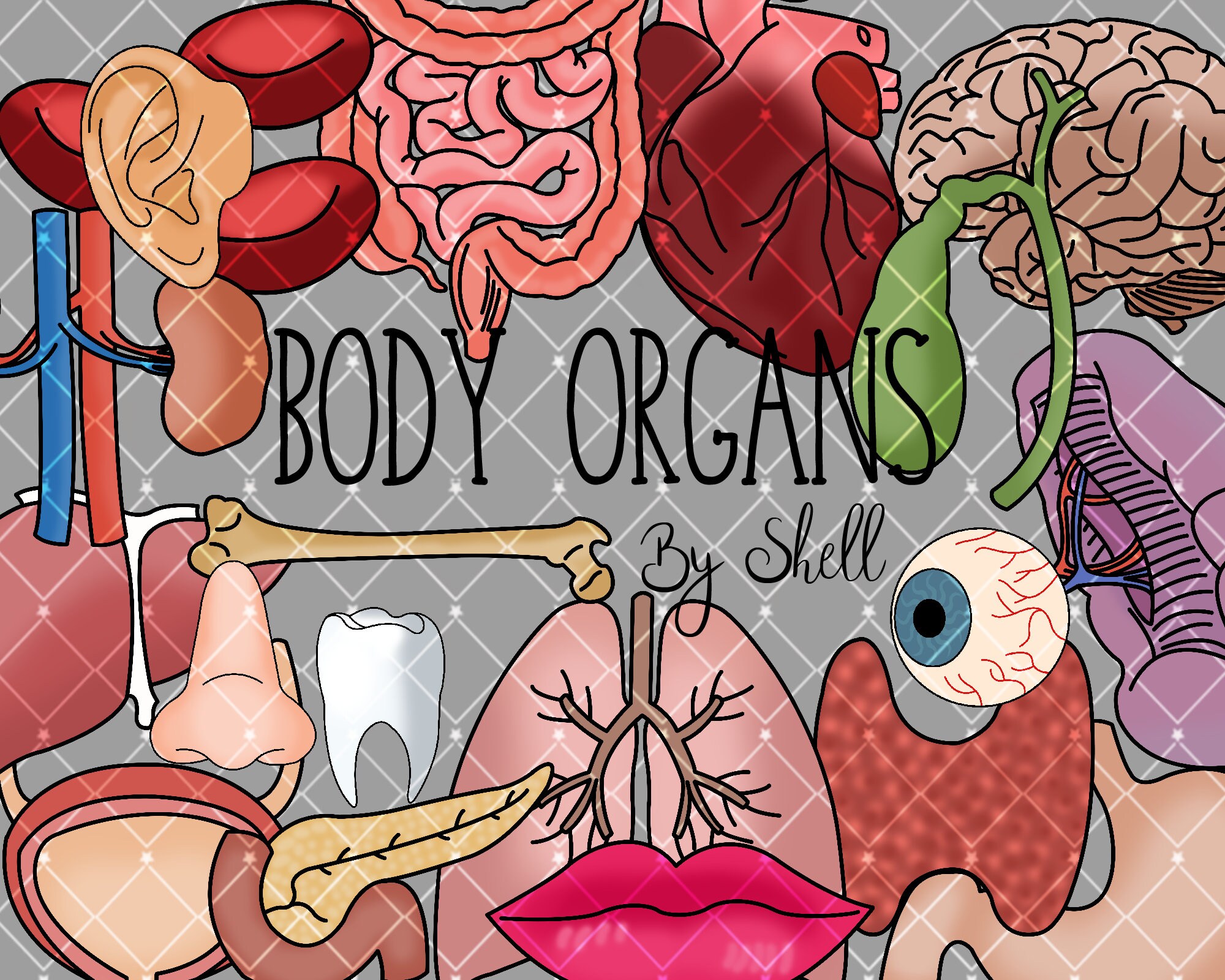 Body Organs Clipart- Instant Download - Heart - Lungs - Brain - Kidneys ...