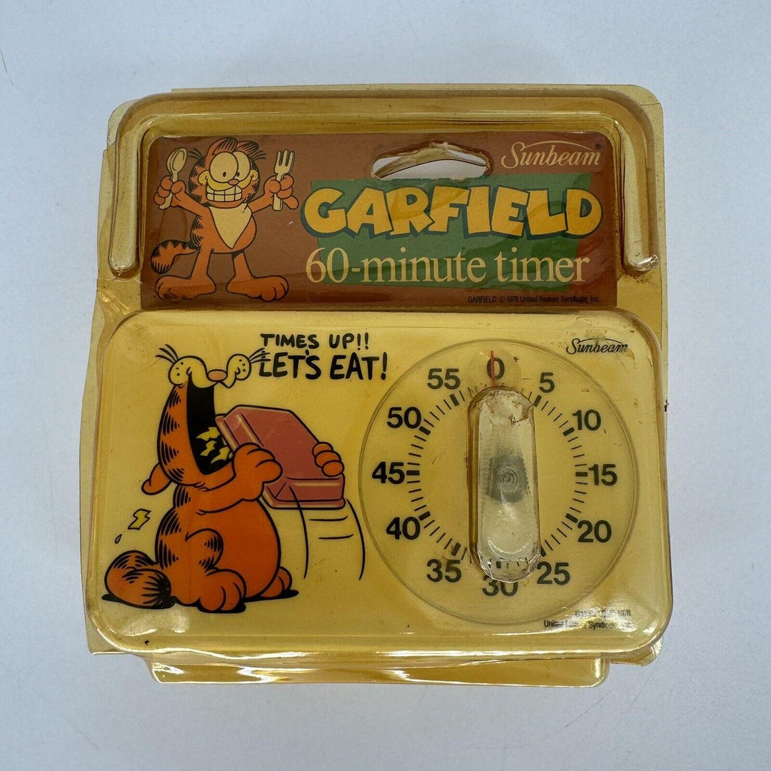Garfield Sunbeam 60 Minute Timer Vintage Super Rare 1978 RARE With ...