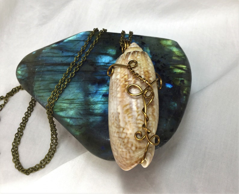 Seashell Pendant Wire-wrapped Shell Pendant Boho Seashell - Etsy