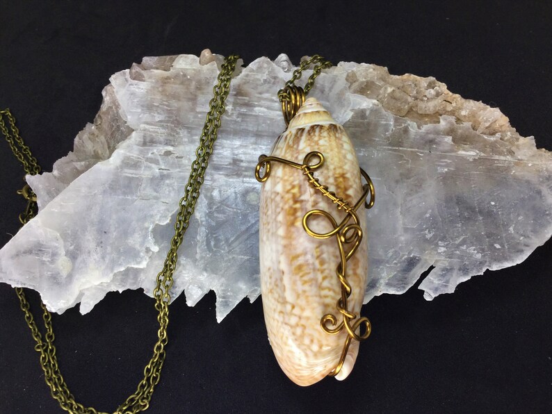 Seashell Pendant Wire-wrapped Shell Pendant Boho Seashell - Etsy