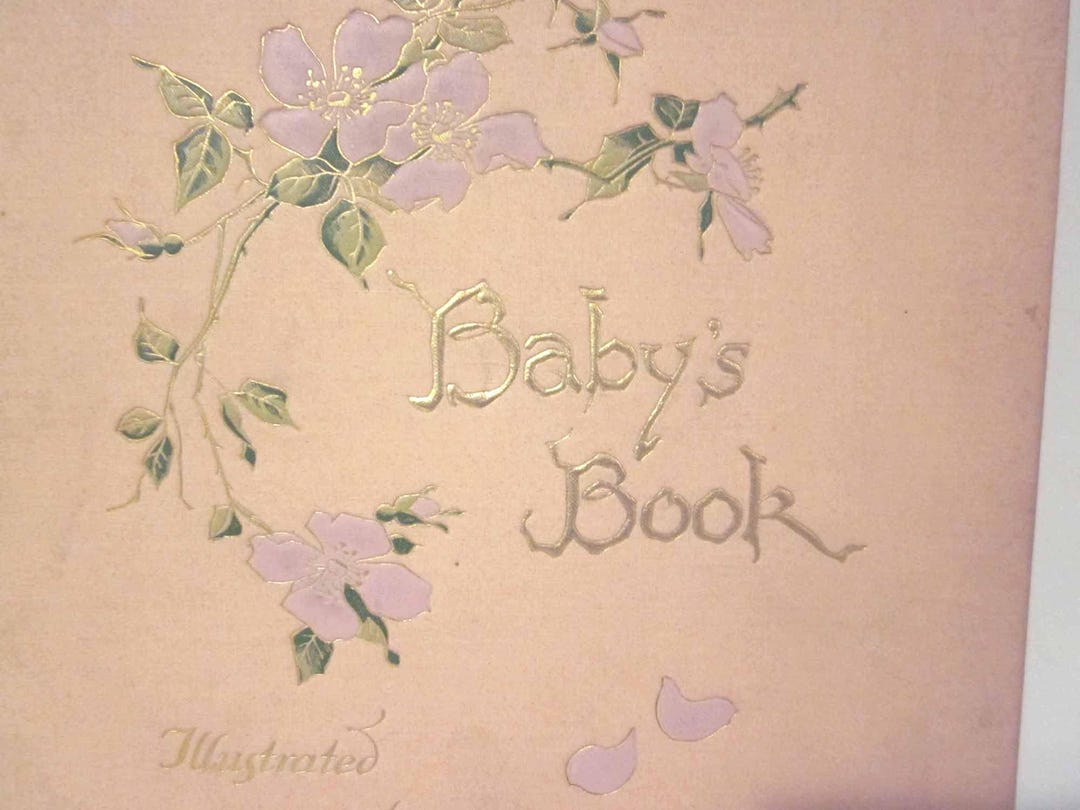 Frances Brundage Baby's Book: C1895 Pink Illustrated Album - Etsy