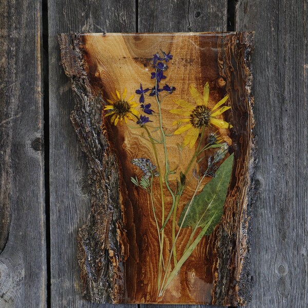 Live Edge Wall Art - Etsy