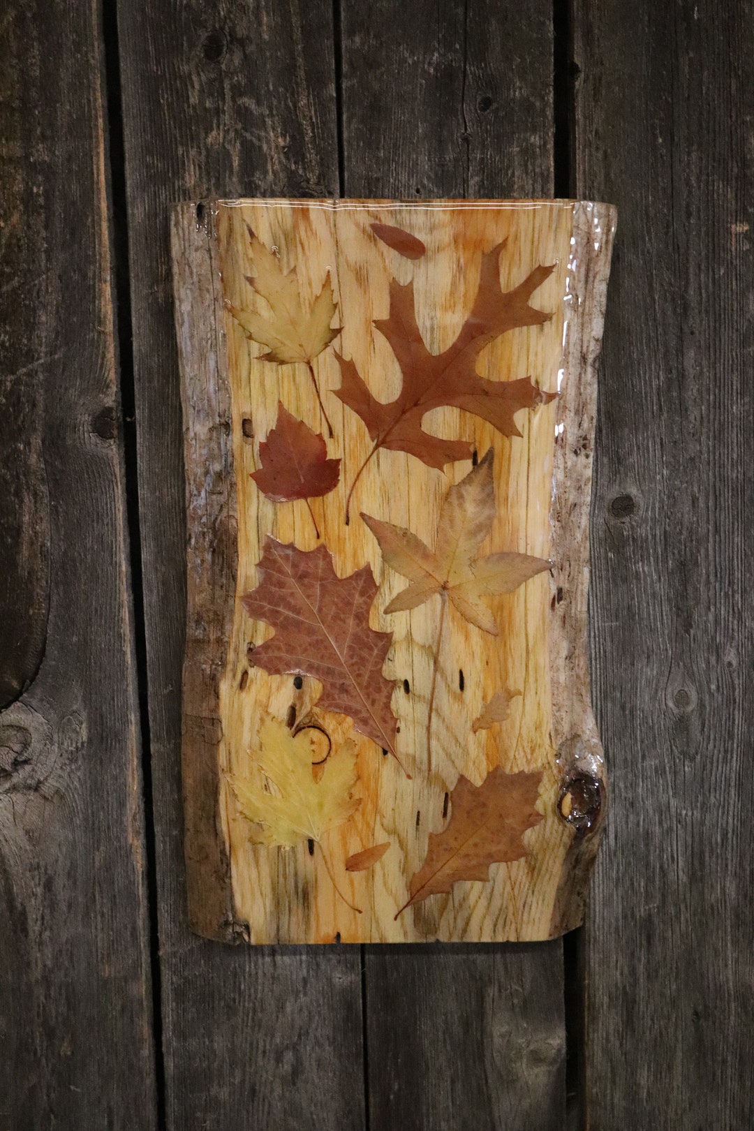 Double Live Edge Fall Foliage Epoxy Resin Art Wall Hanging! Real Leaves ...