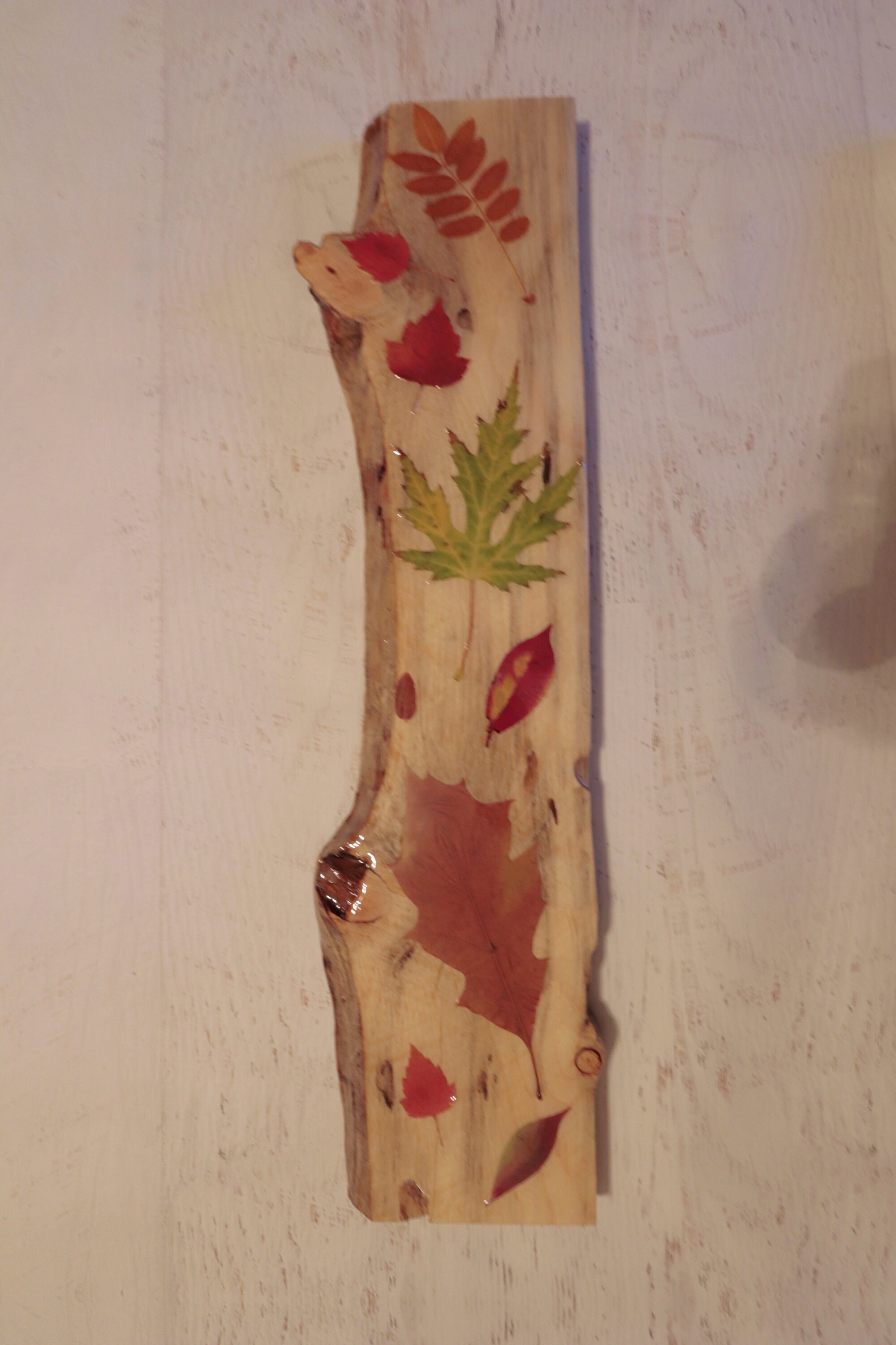 Fall Foliage Epoxy Resin Art Real Leaves From Idaho on Live - Etsy