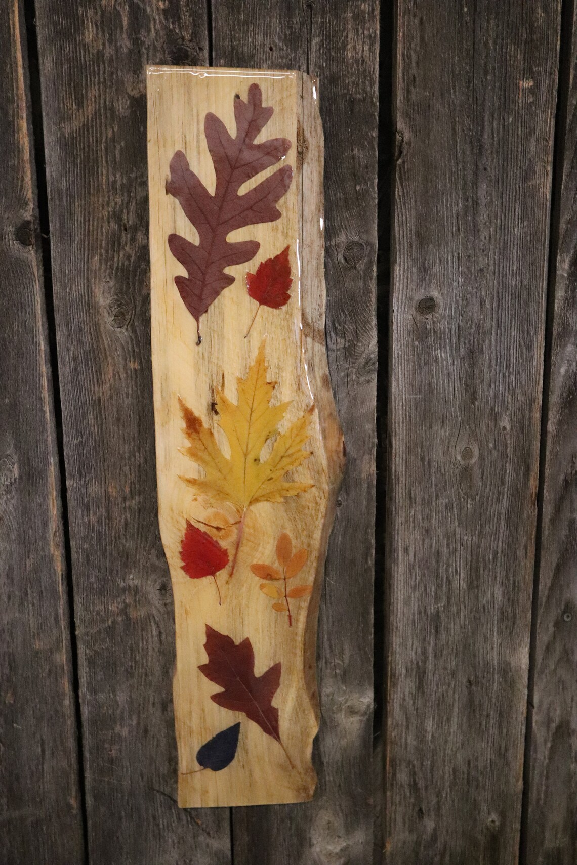 Fall Foliage Wildflower Epoxy Resin Art Real Leaves From Idaho on Live ...