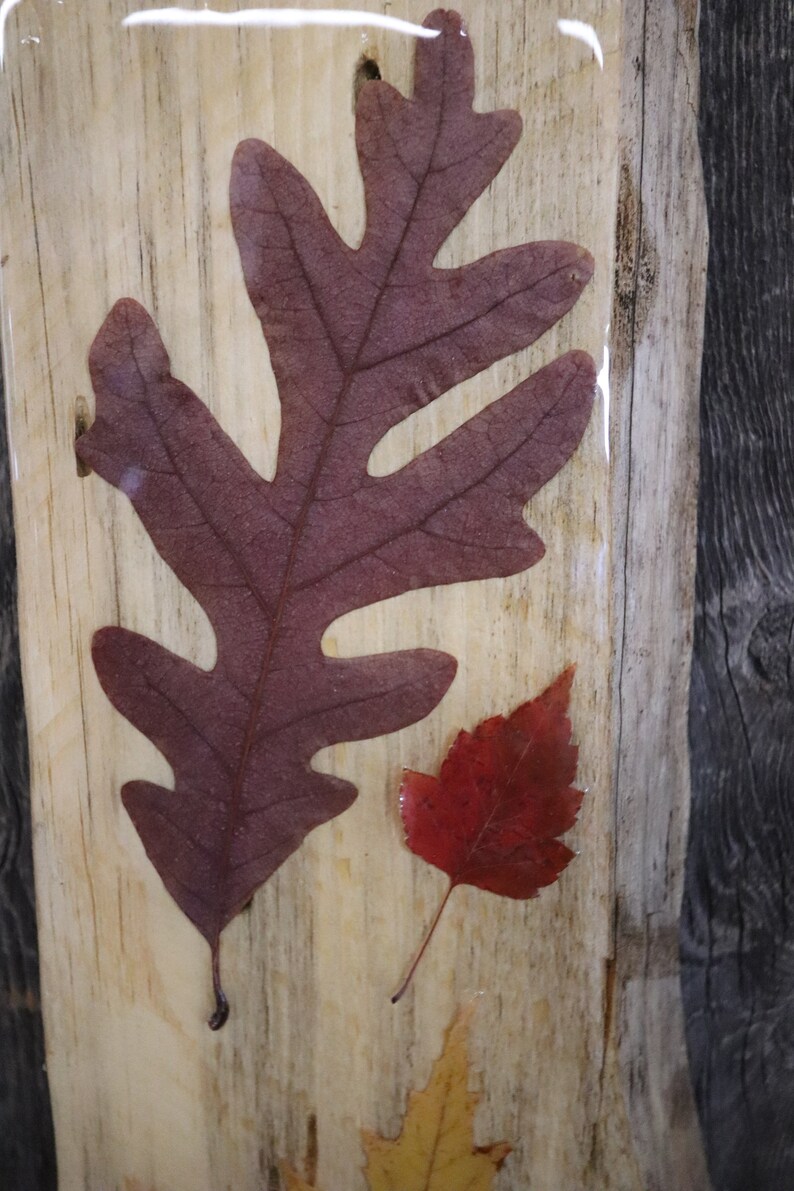 Fall Foliage Wildflower Epoxy Resin Art Real Leaves From Idaho on Live ...