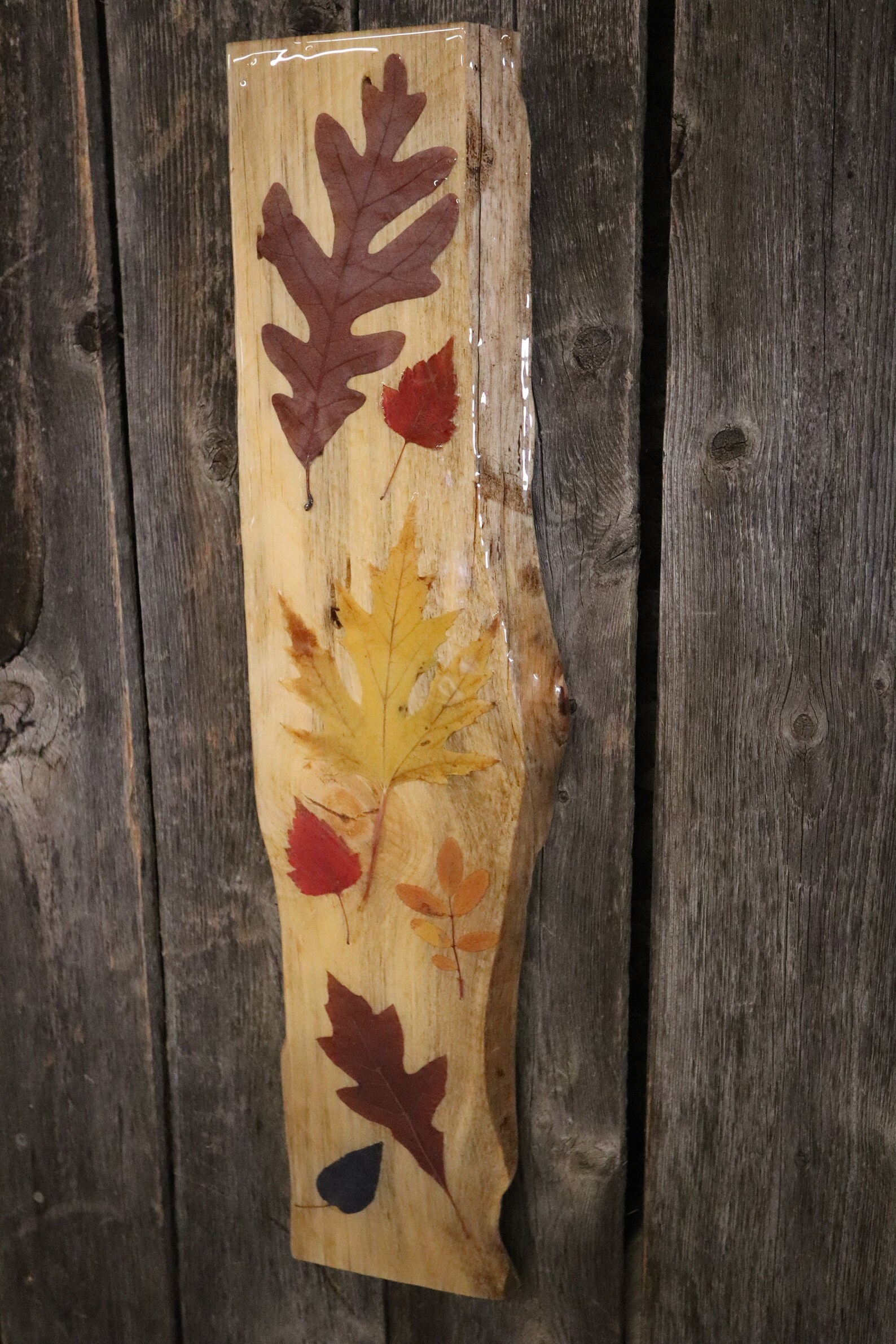 Fall Foliage Wildflower Epoxy Resin Art Real Leaves From Idaho on Live ...