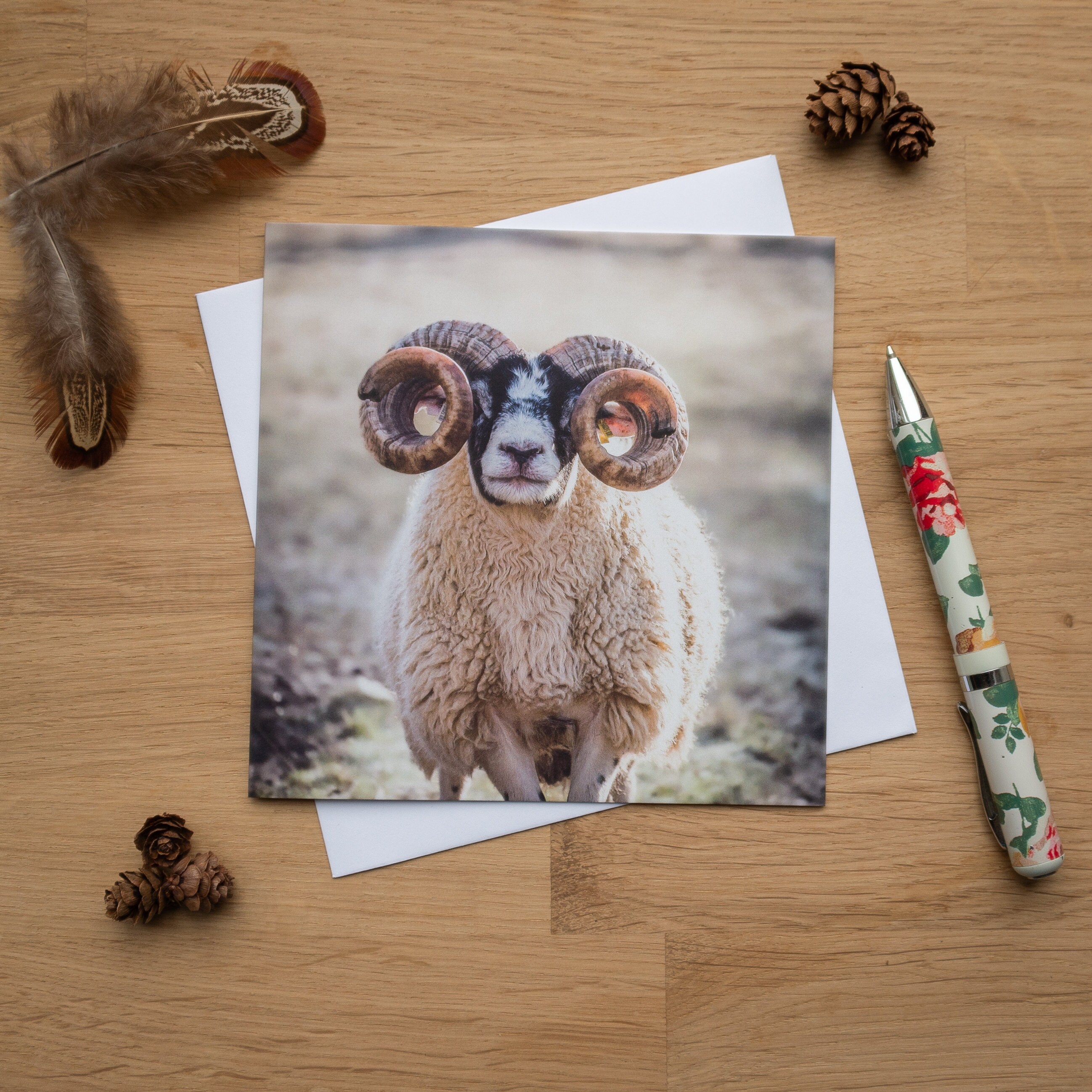 Sheep Greetings Cards Set - Etsy